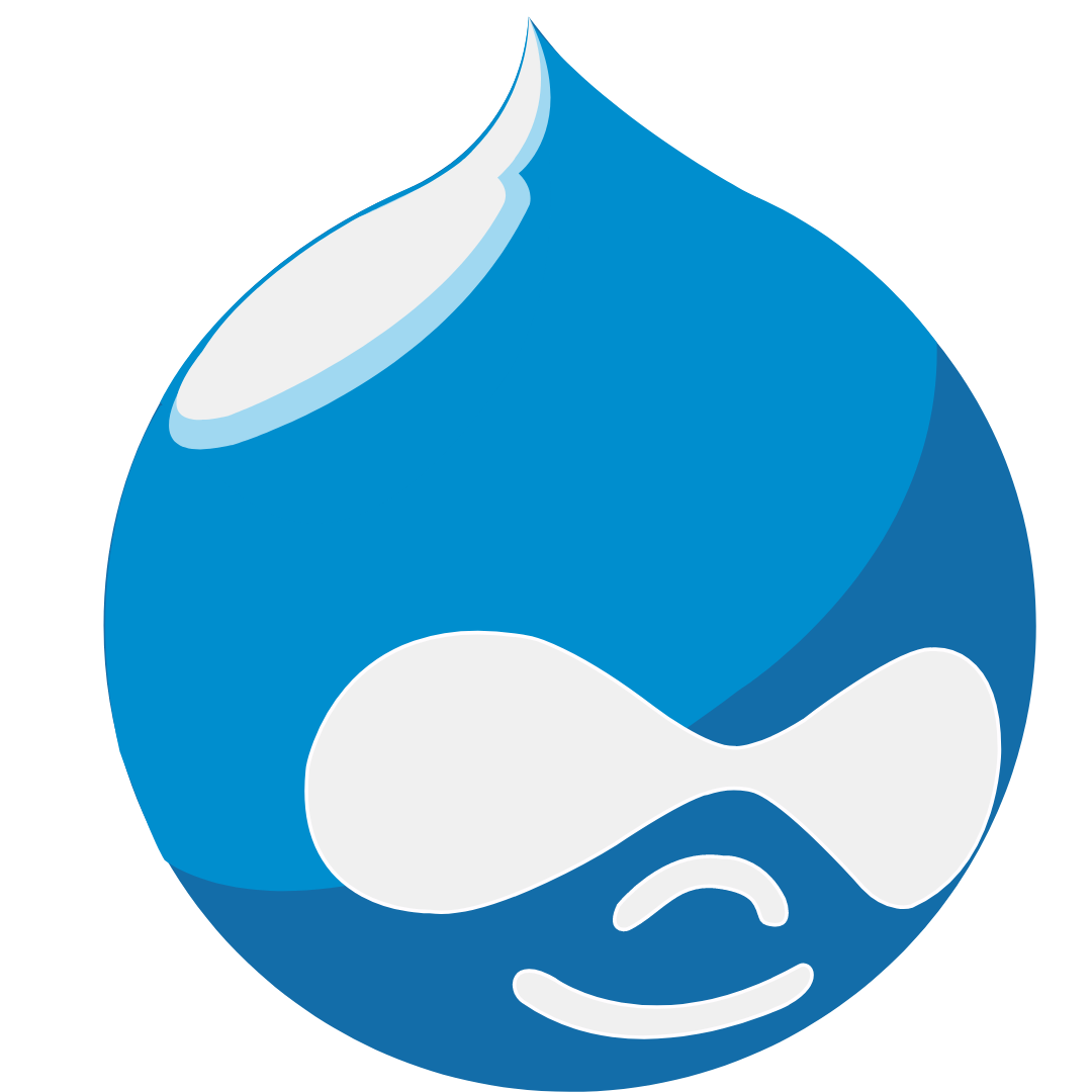 Drupal Web Developer Job Description