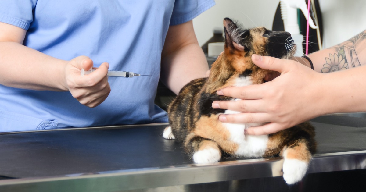 ARC | Wellness Clinic