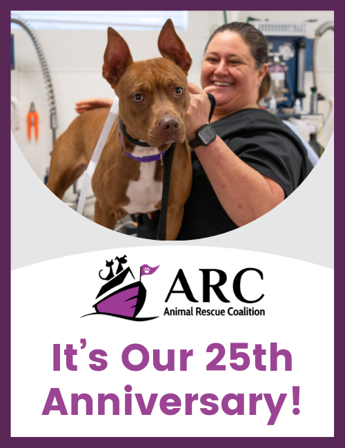 ARC | Affordable and Accessible High-Quality Spay and Neuter