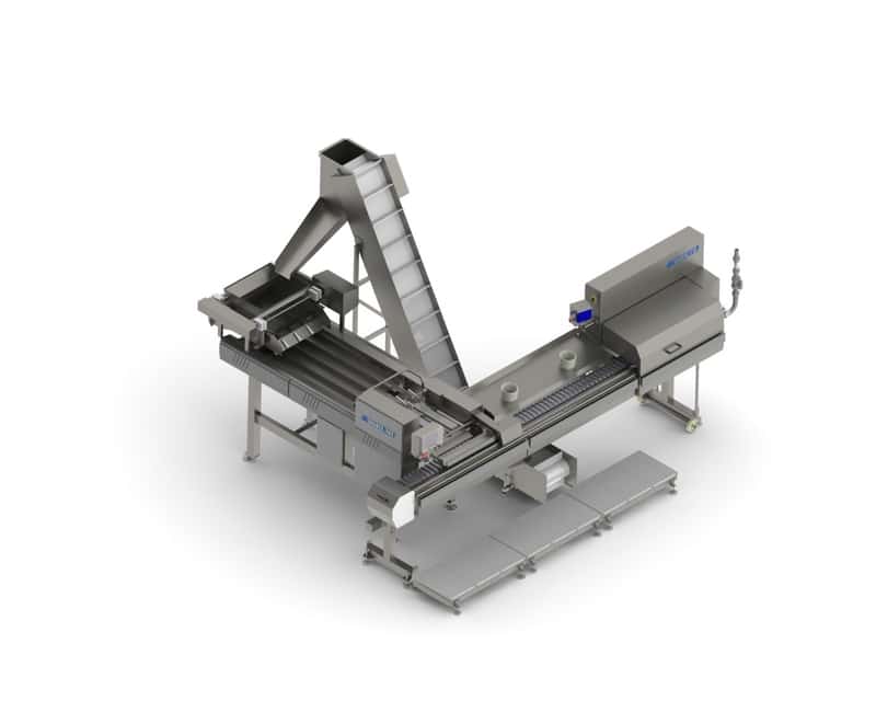 BAADER 221 - BAADER Fish