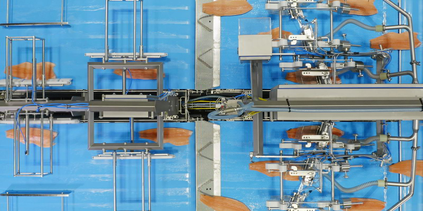 Every Fillet Deserves a Perfect Finish - BAADER Fish