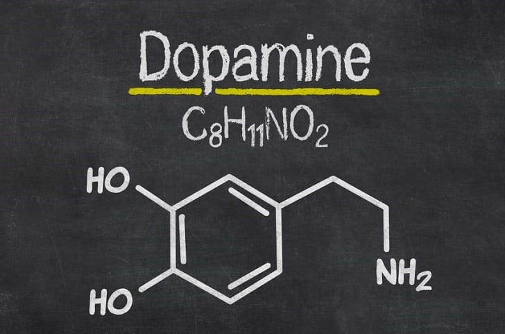 What are Dopamine Agonists?