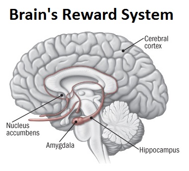 Holistic Addiction Treatment | Holistic Addiction Care Center