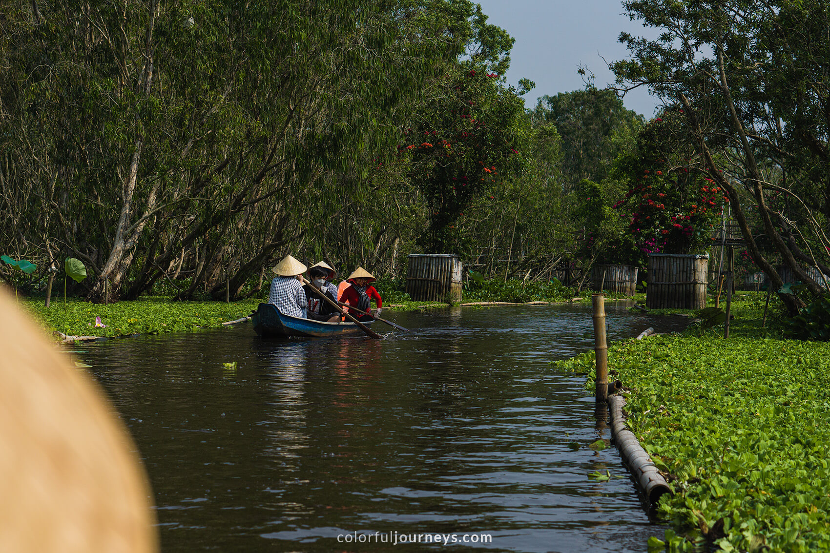 Visit Tra Su Cajuput Forest in An Giang