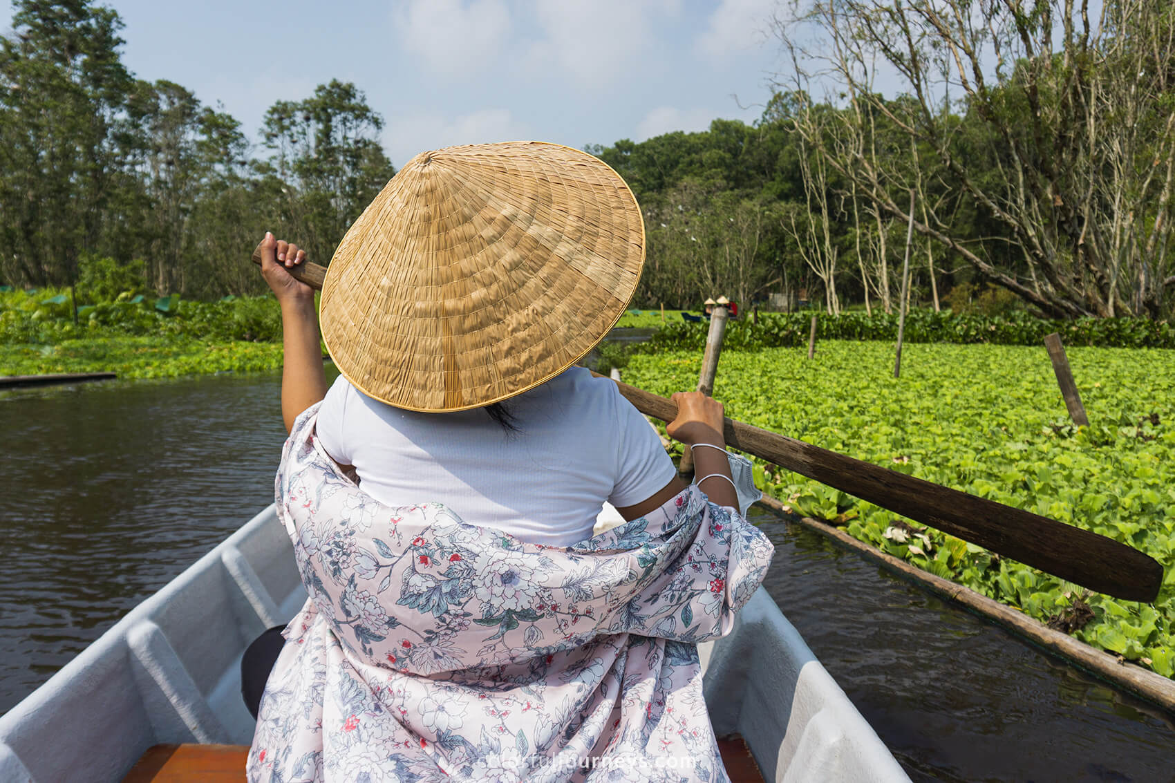 Visit Tra Su Cajuput Forest in An Giang