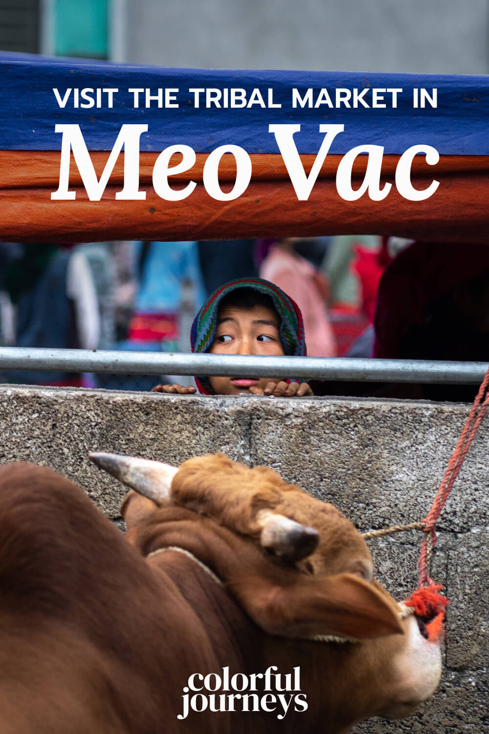 Visiting the Meo Vac Sunday Market in Ha Giang