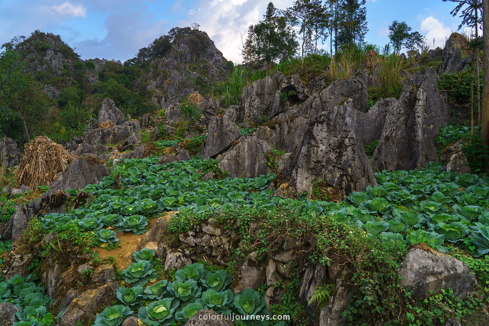 Lao Xa Village in Ha Giang Vietnam
