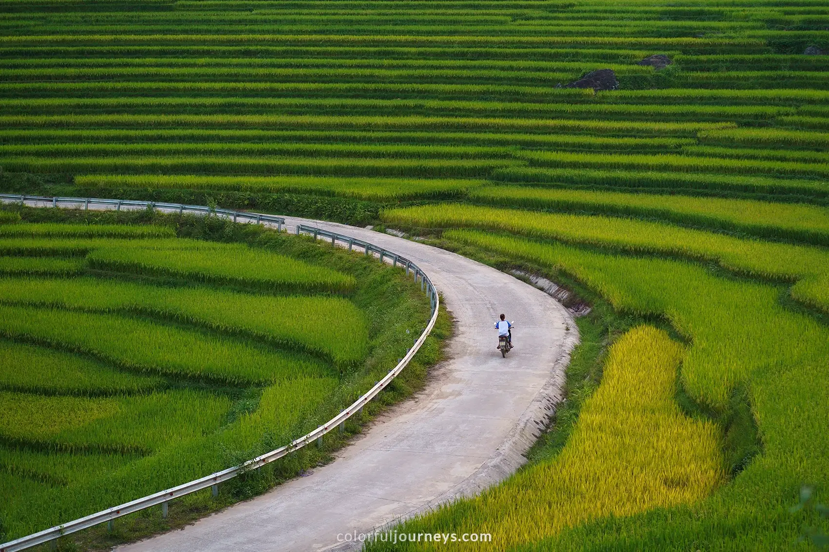 Guide to Pu Luong Nature Reserve in Vietnam