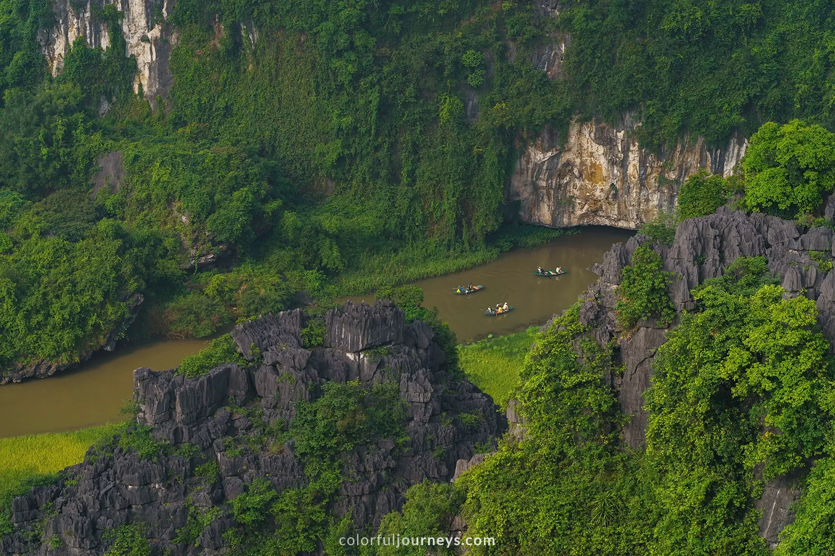 Tam Coc Boat Tour: Best Viewpoint, Prices, & Tips