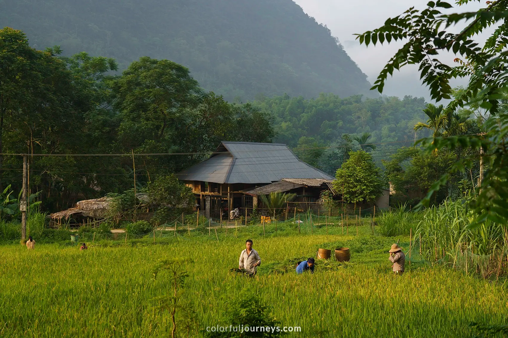 Pu Luong Nature Reserve: Where to Stay and Best Villages to Visit