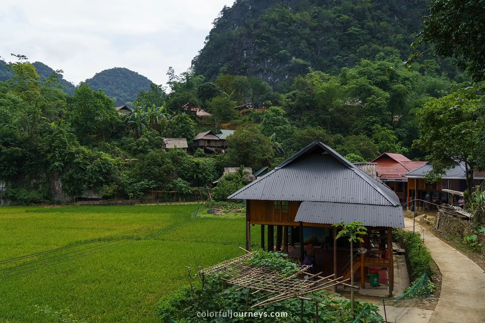 Pu Luong Nature Reserve: Where to Stay and Best Villages to Visit