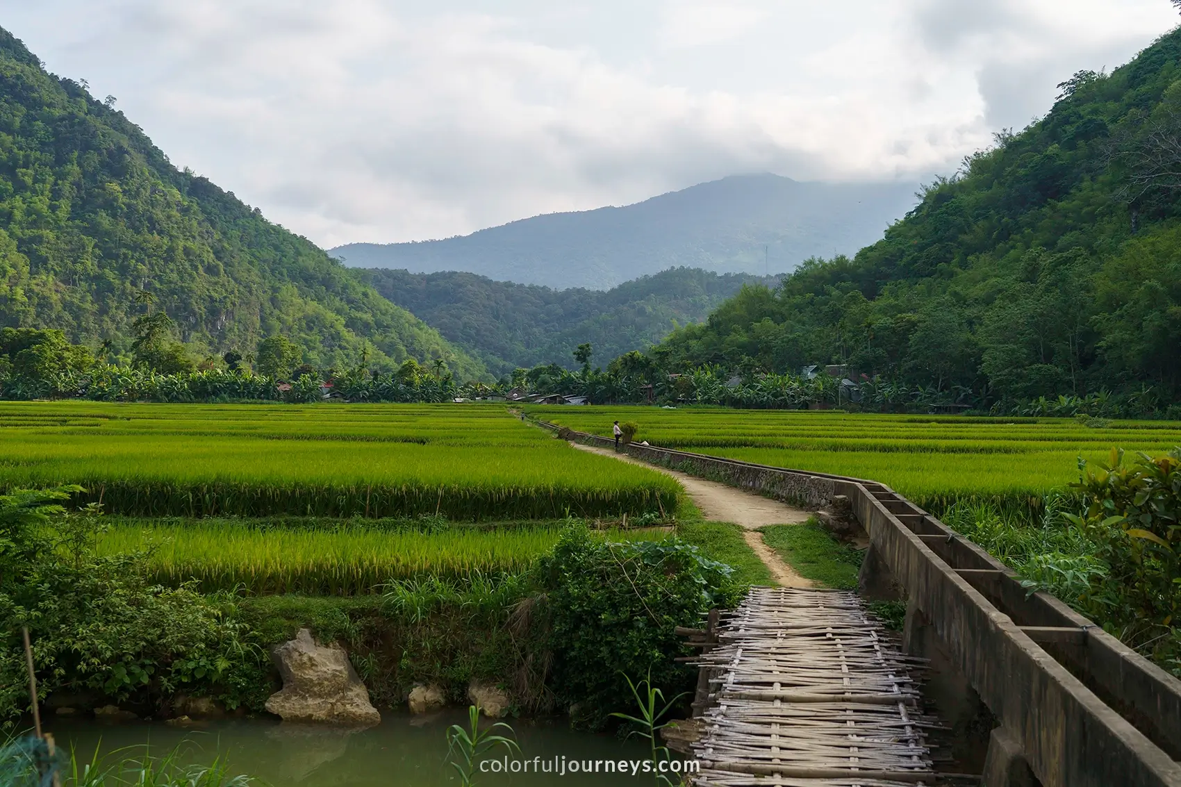 Pu Luong Nature Reserve: Where to Stay and Best Villages to Visit