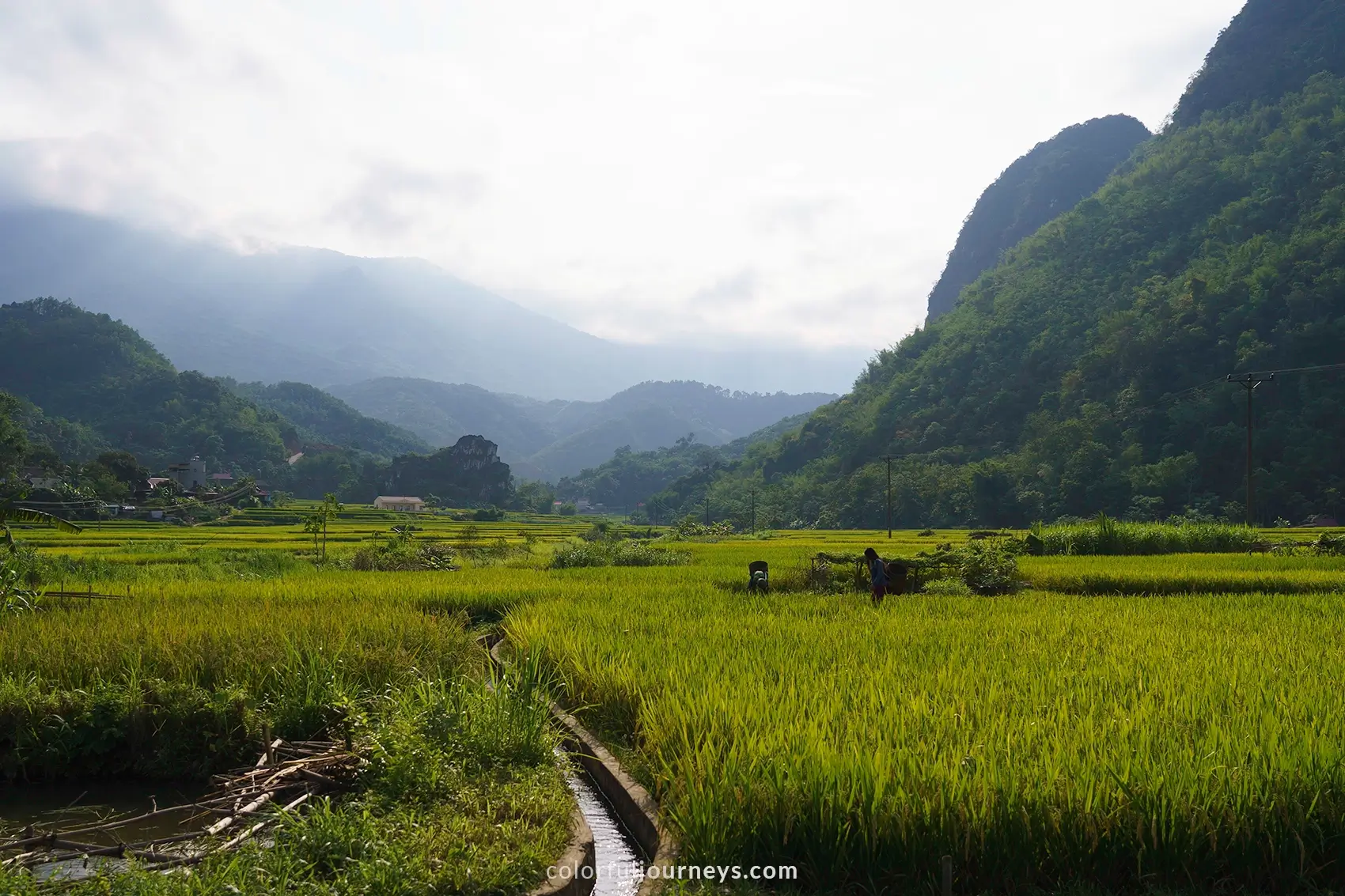 Pu Luong Nature Reserve: Where to Stay and Best Villages to Visit