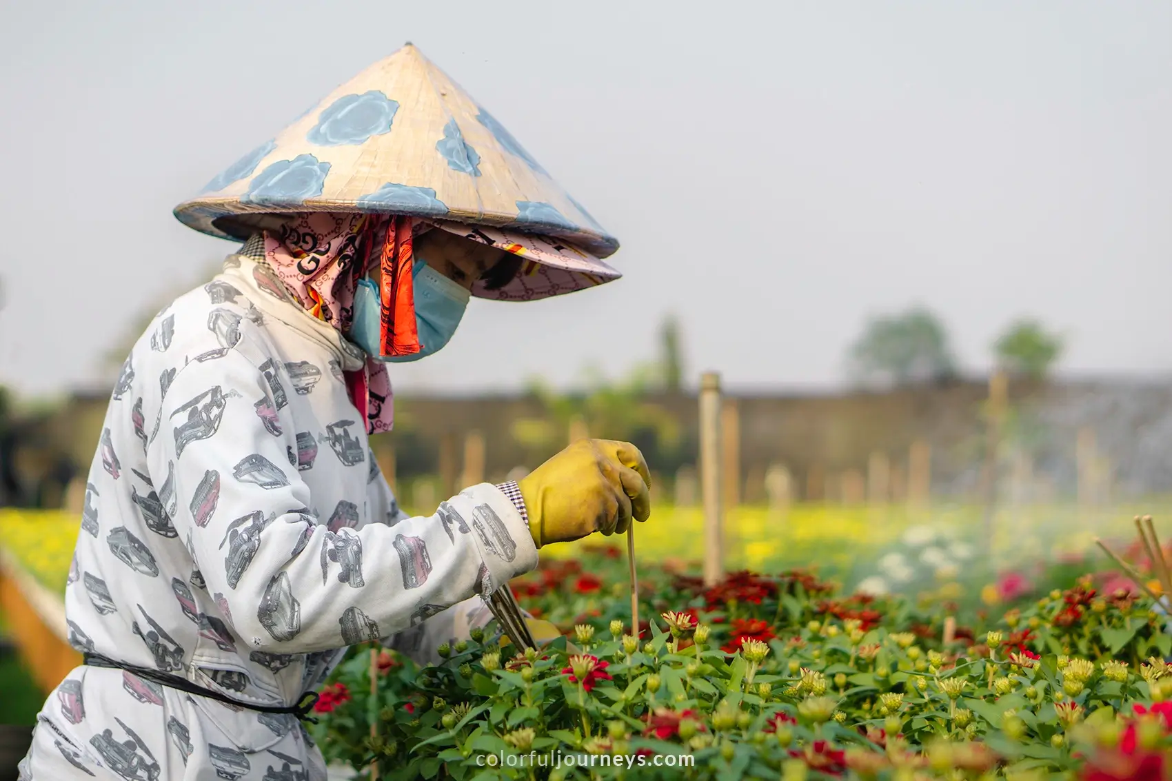 Discover Sa Dec Flower Village in Dong Thap