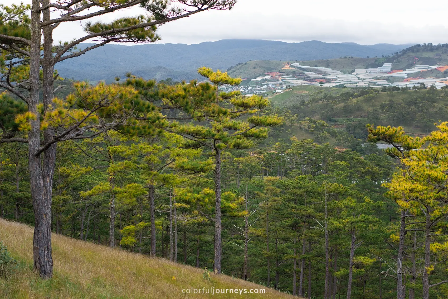 13 Best Things to Do in Dalat, Vietnam