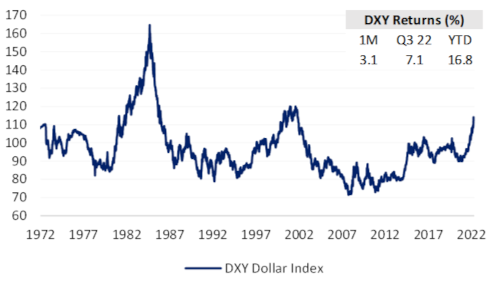 The surge in the dollar is creating market distortions | Wilshire