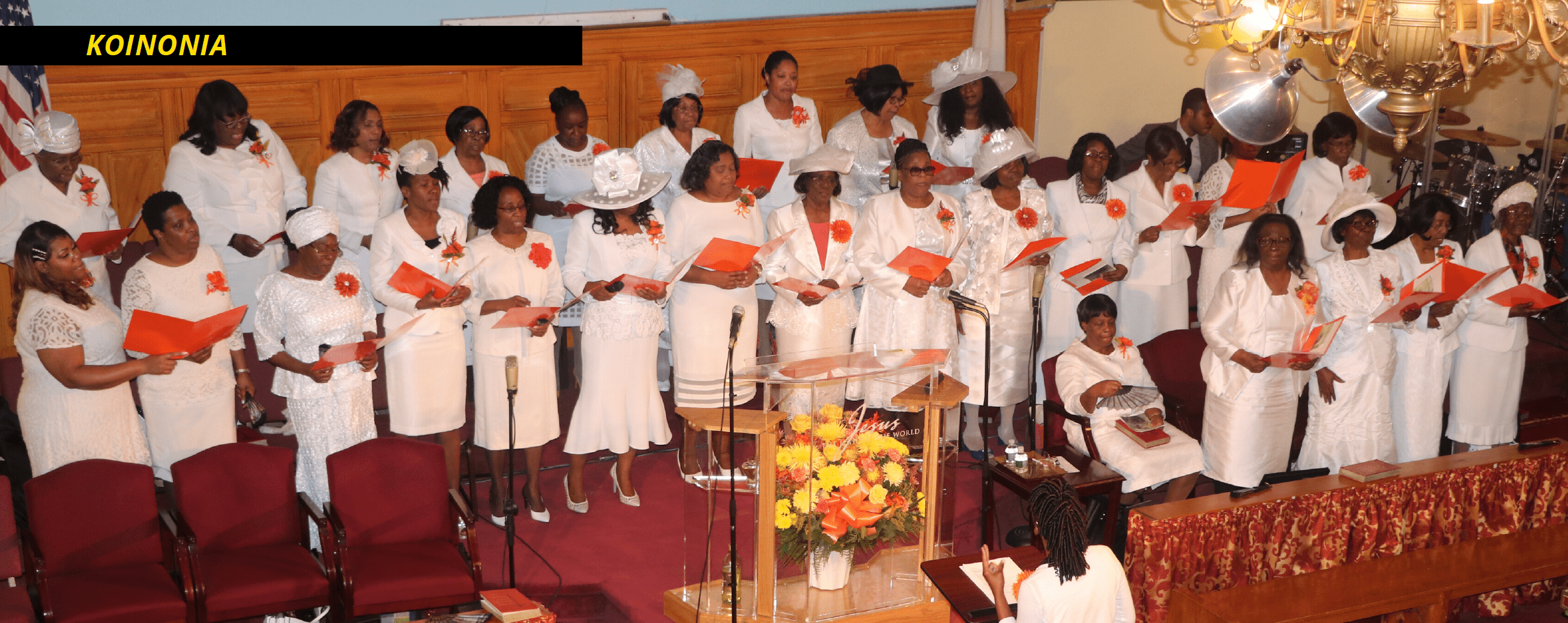 Brooklyn, New York, Spring 2020 | United States