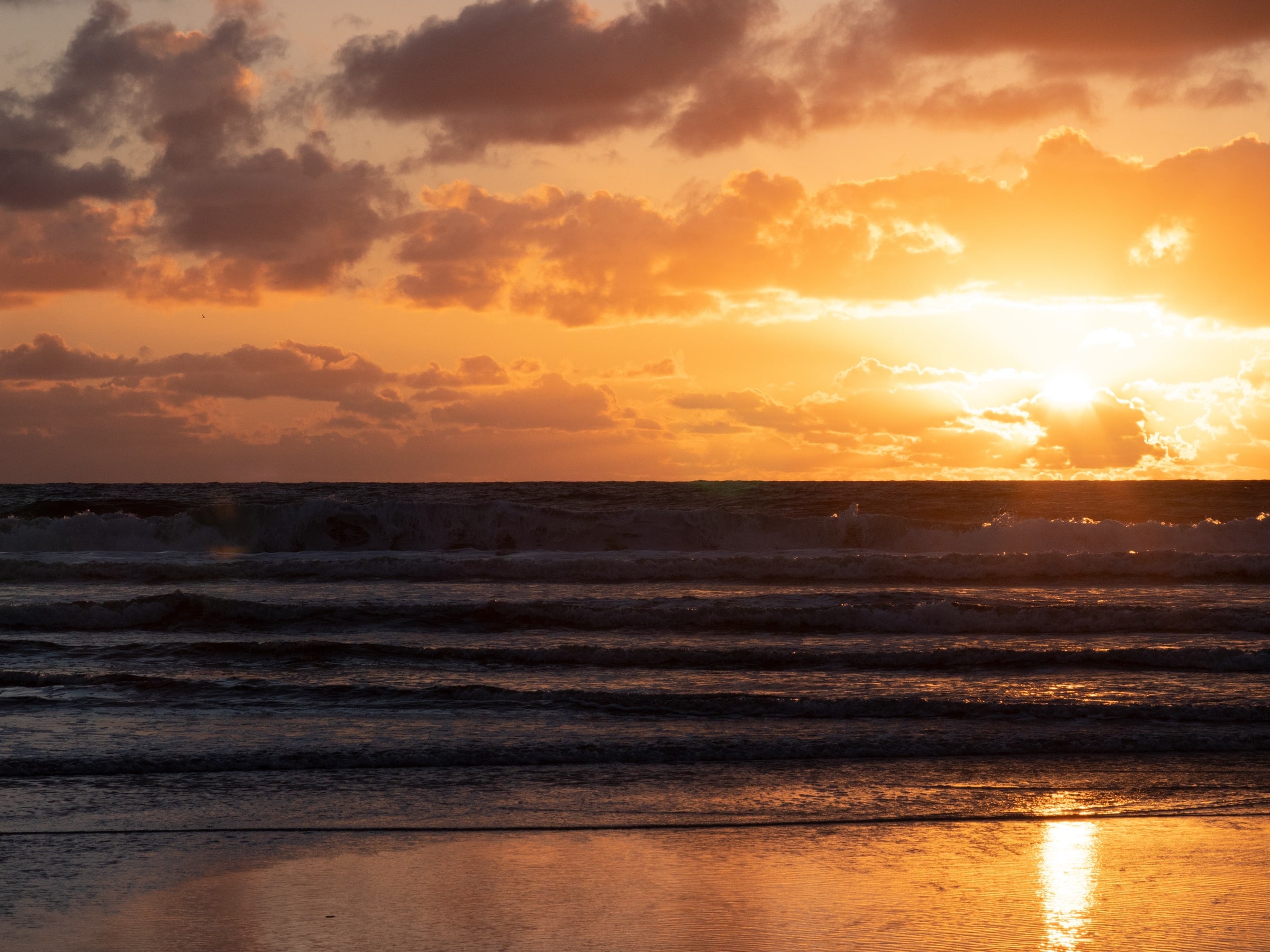 Un Viaje a través de la Congoja