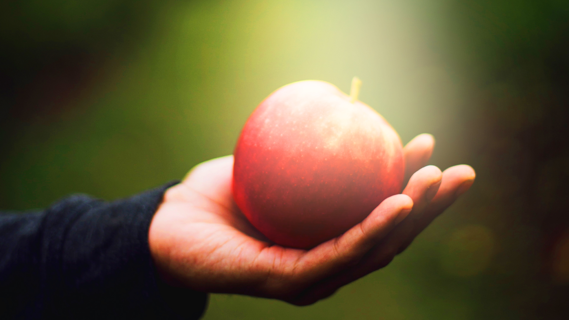 Withstanding Temptation