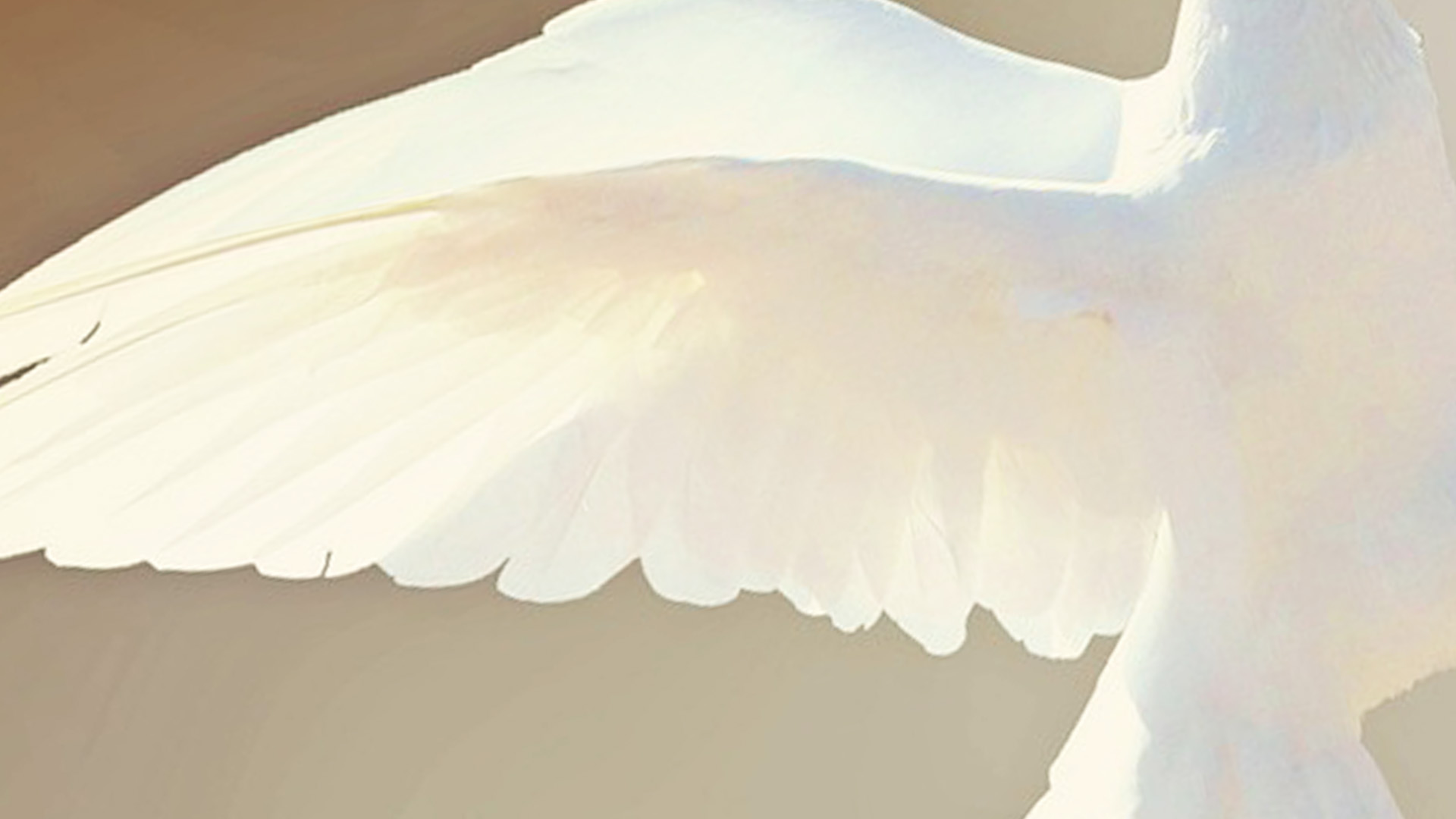 The Promise of the Comforter