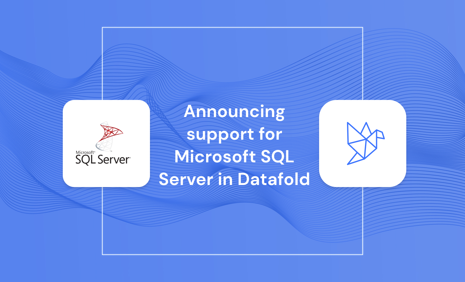 Announcing support for Microsoft SQL Server in Datafold | Datafold