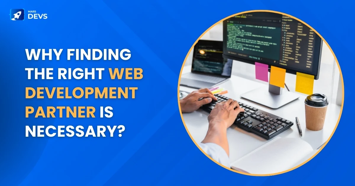 Top 5 Reasons Why Your Business Needs A Professional Web Developer!