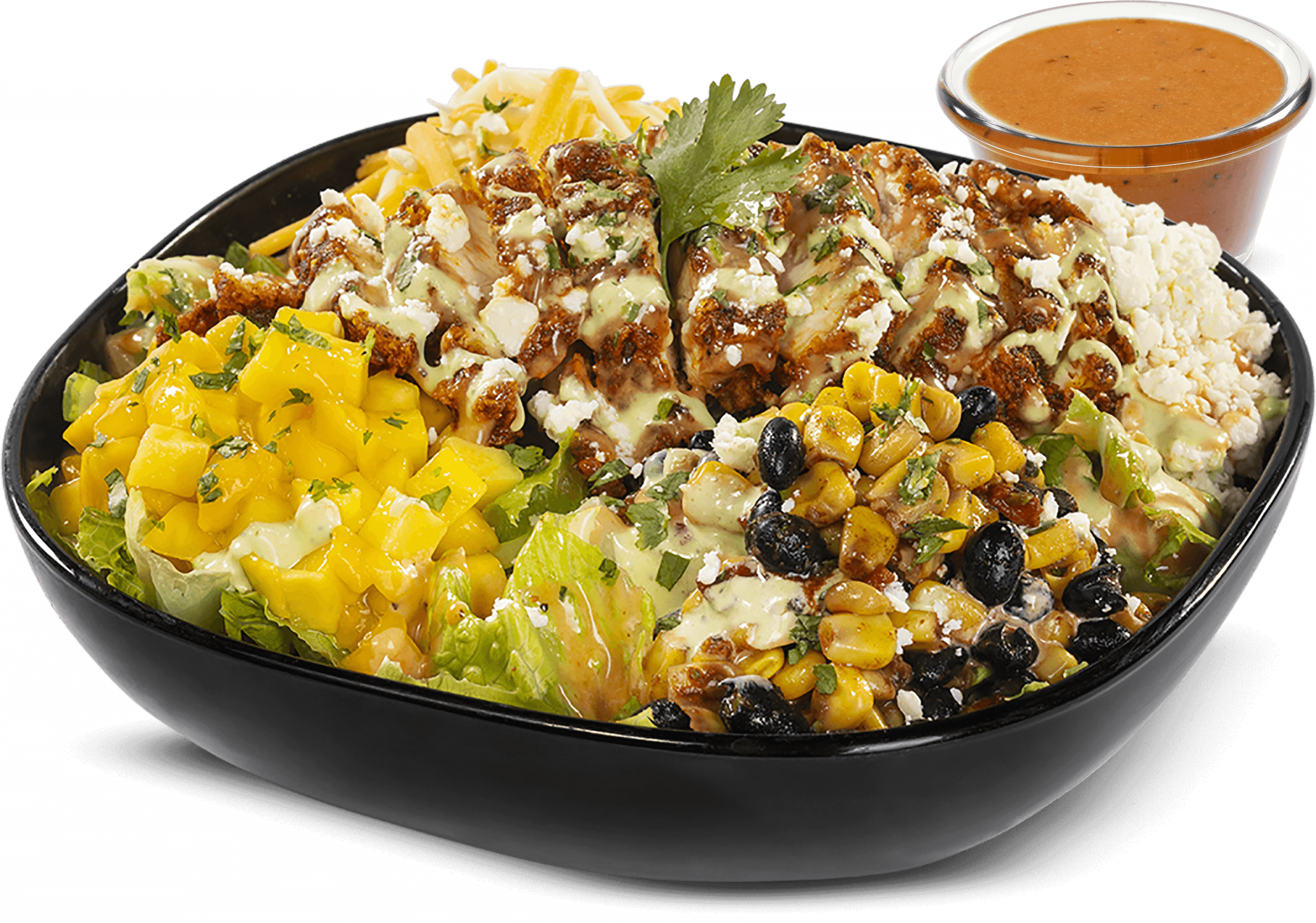 The Best Hot Chicken Sandwiches | HHC