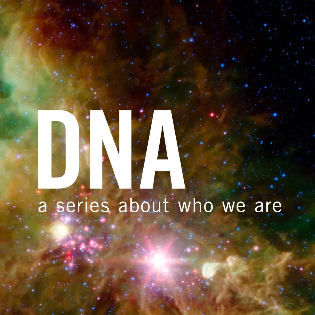 Sermon Series | DNA