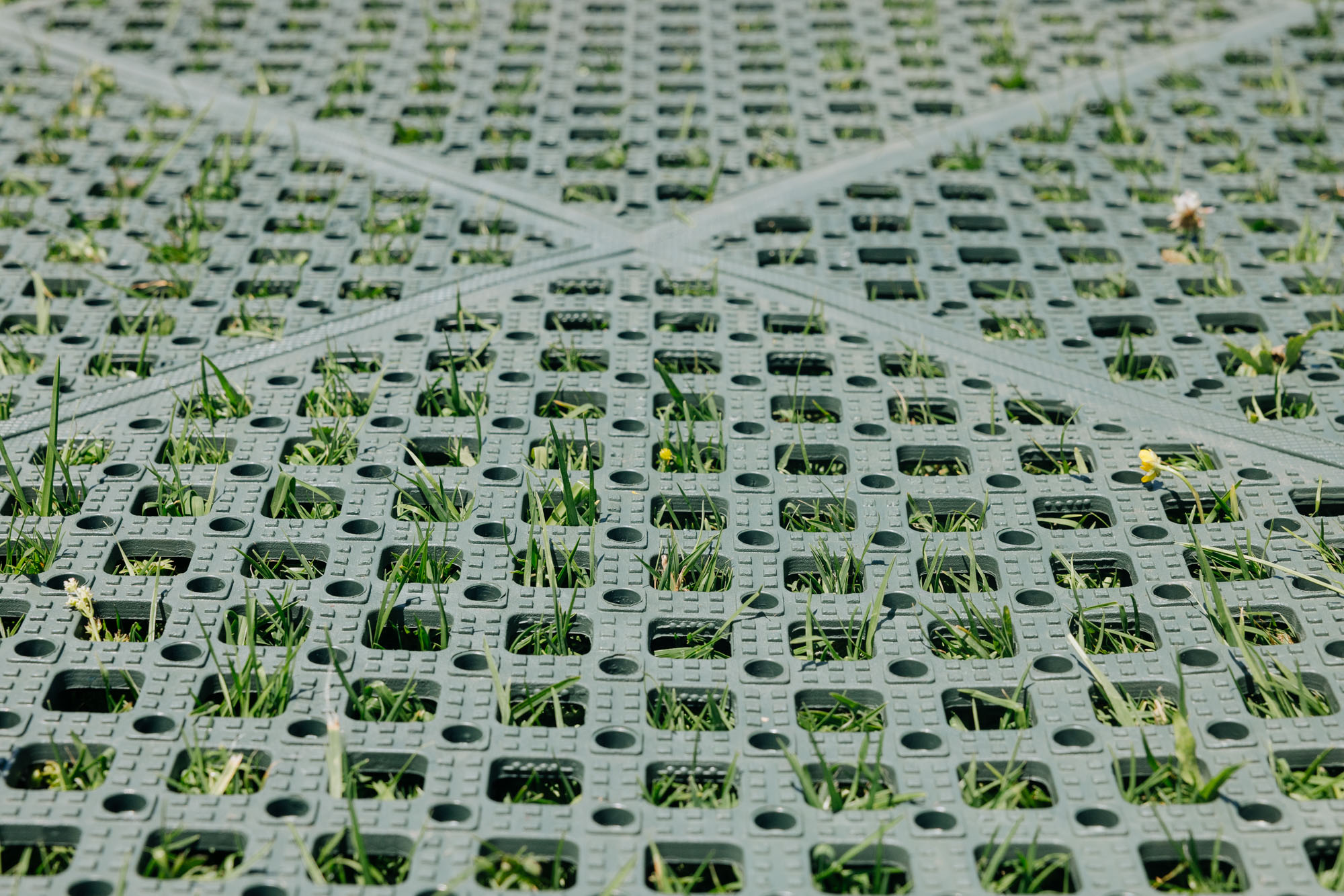 Play Matta Safety - Grass Retention Matting | Matta
