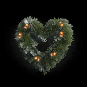 Heart Widgets HypeRate | Best Heart Rate Widgets for OBS | Compatible ...