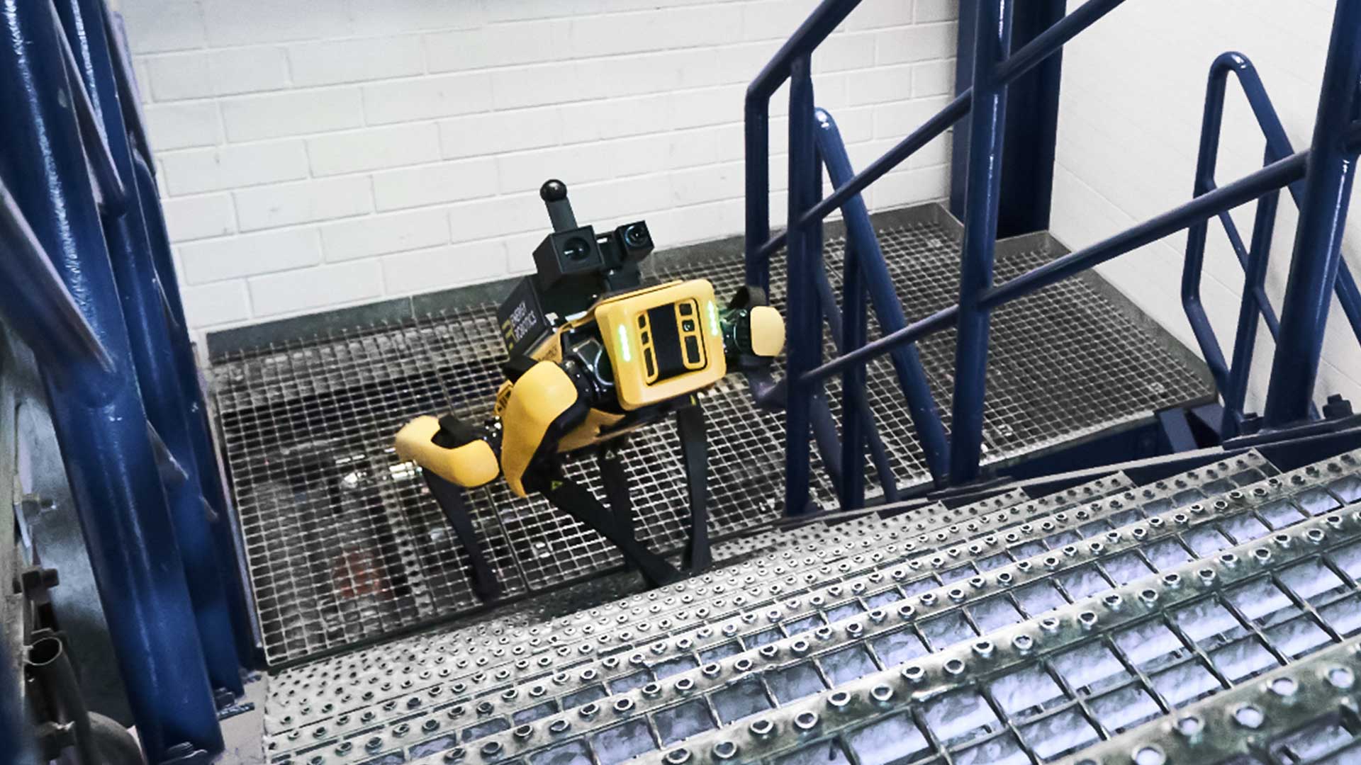 Digital revolution: The new generation of robots is breaking through