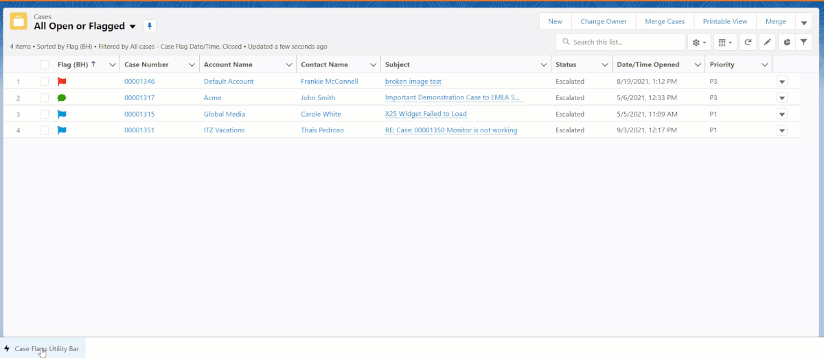 Case Flags for Salesforce | Vicasso
