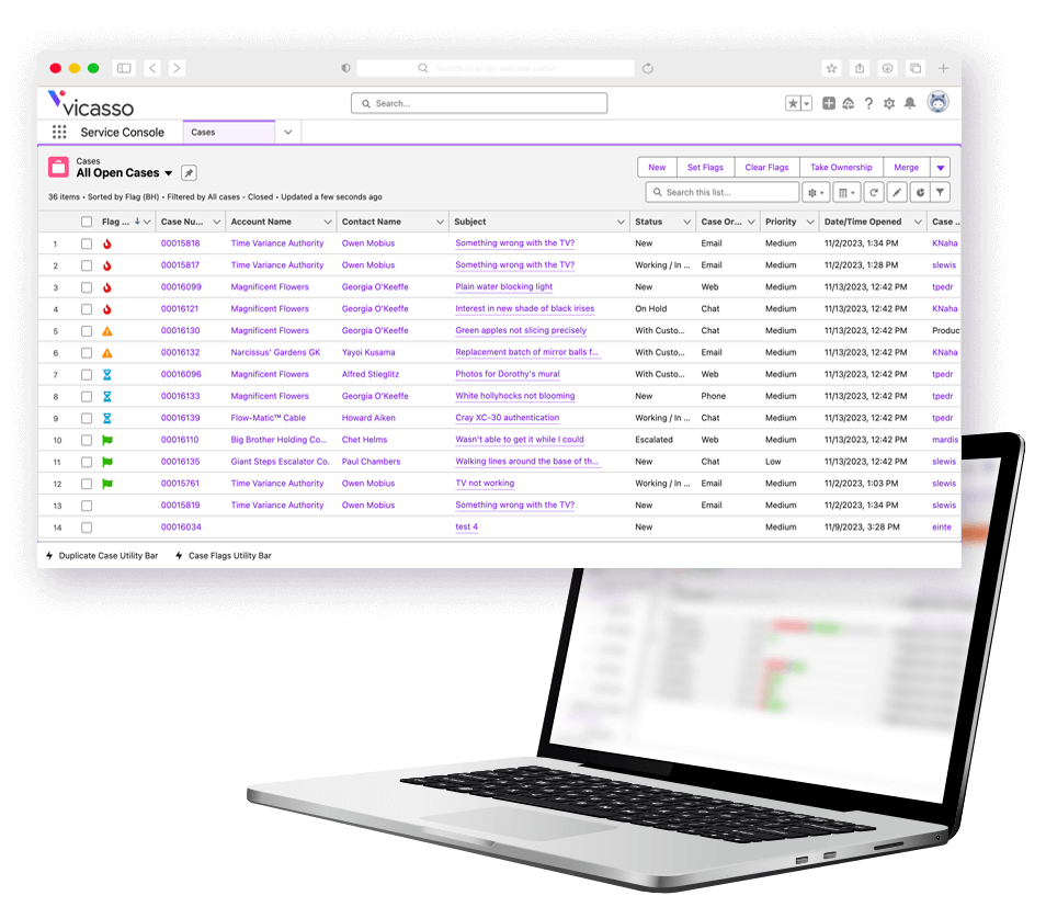 Case Flags for Salesforce | Vicasso