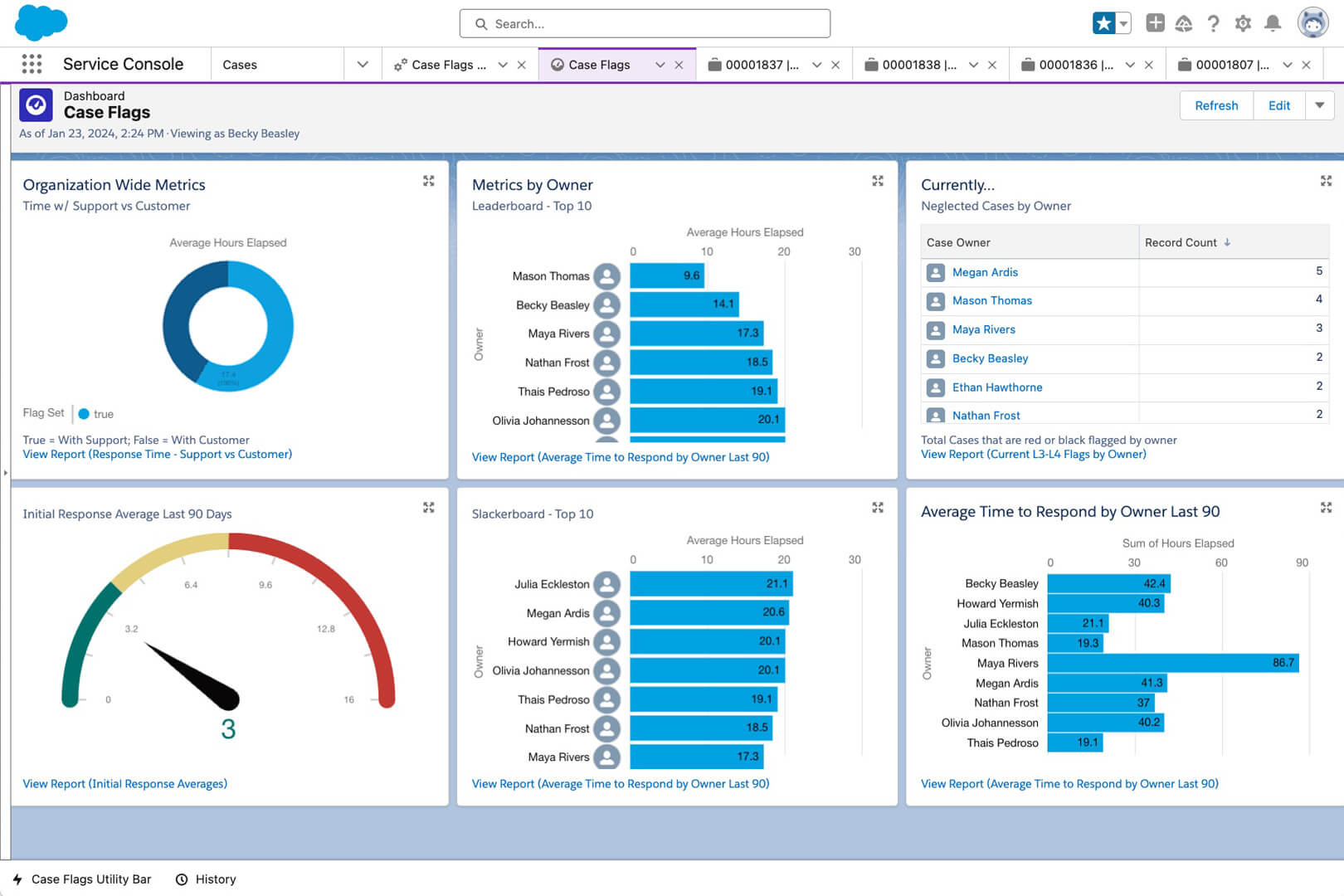 Case Flags for Salesforce | Vicasso