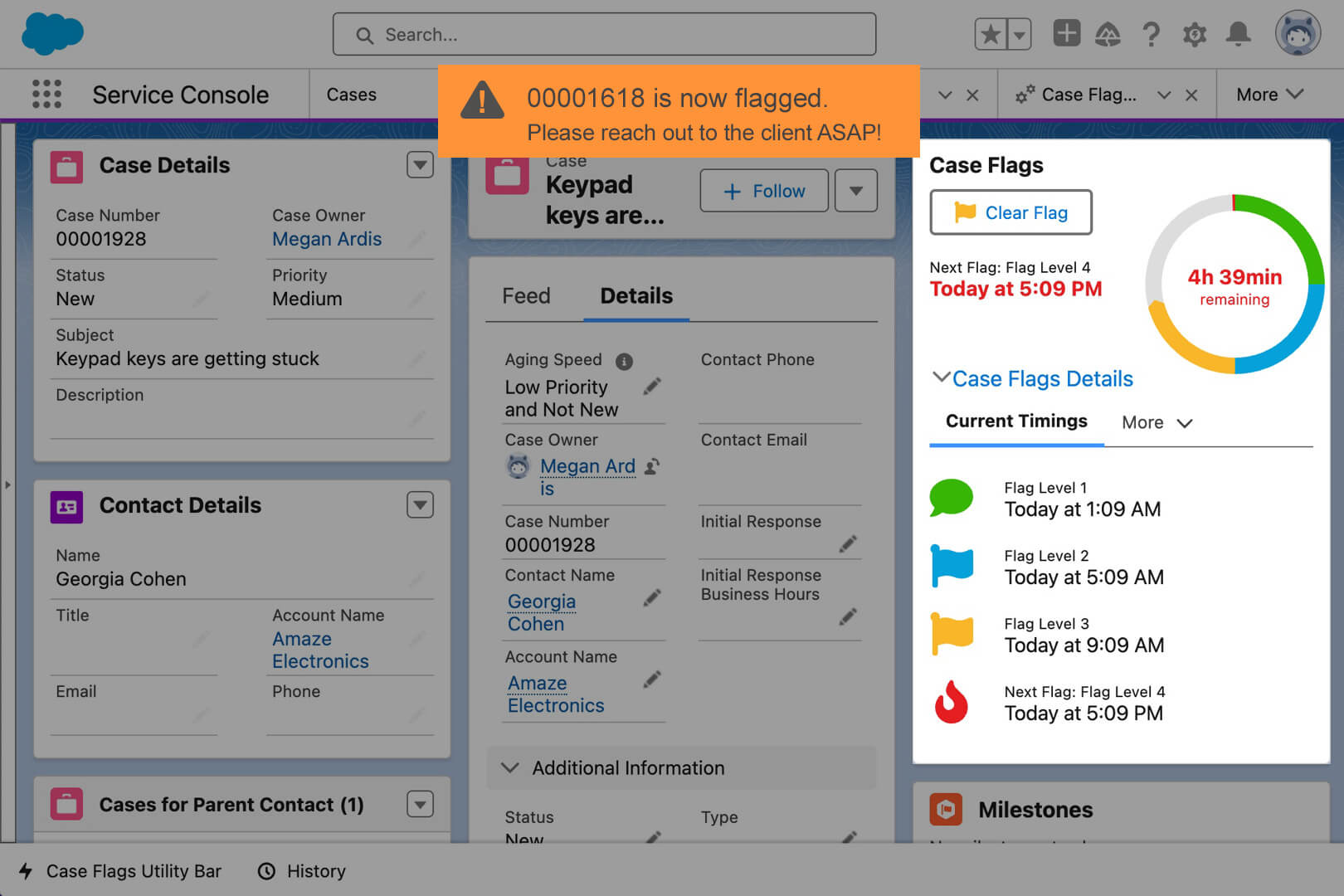 Case Flags for Salesforce | Vicasso