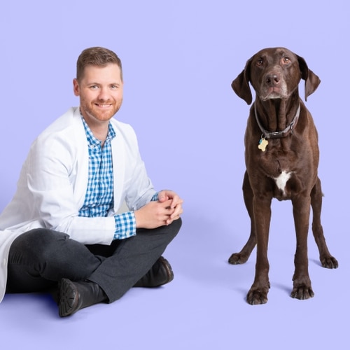 Veterinarians | Nightingale Veterinary