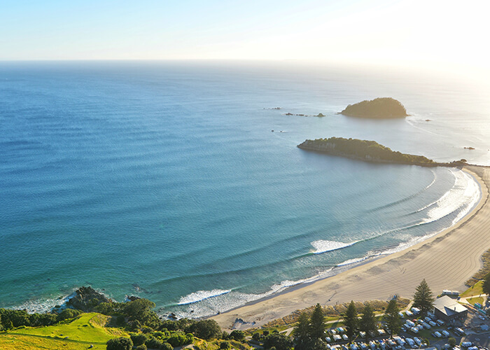 Meet the Tauranga Team