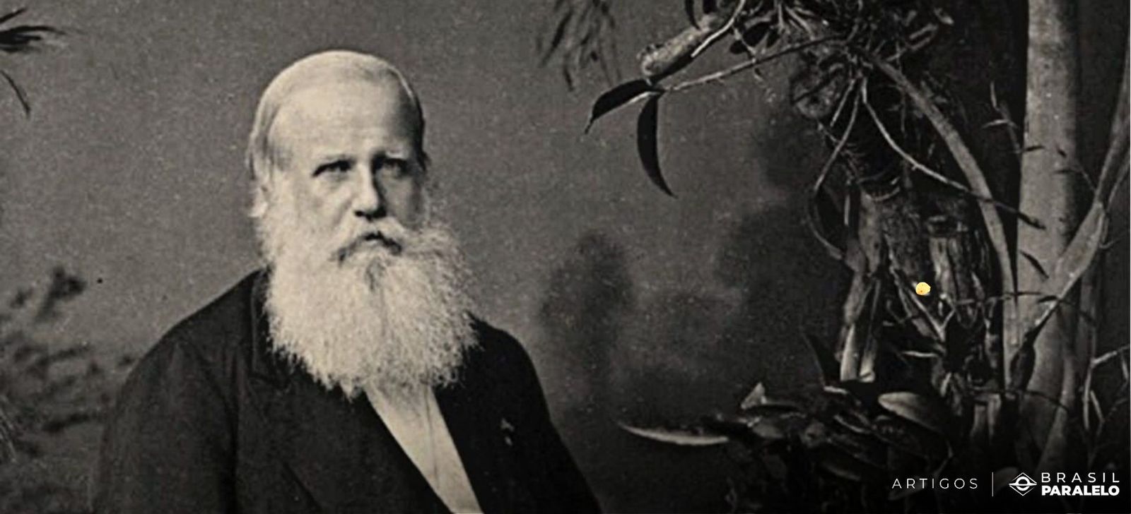 Dom Pedro II - Biografia do Último Imperador Brasileiro