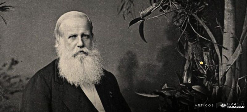 Dom Pedro II - Biografia do Último Imperador Brasileiro