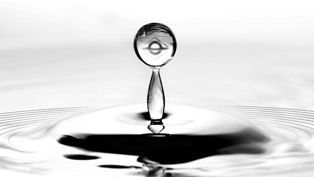 Novidade na Brasil Paralelo para quem gosta de conhecimento