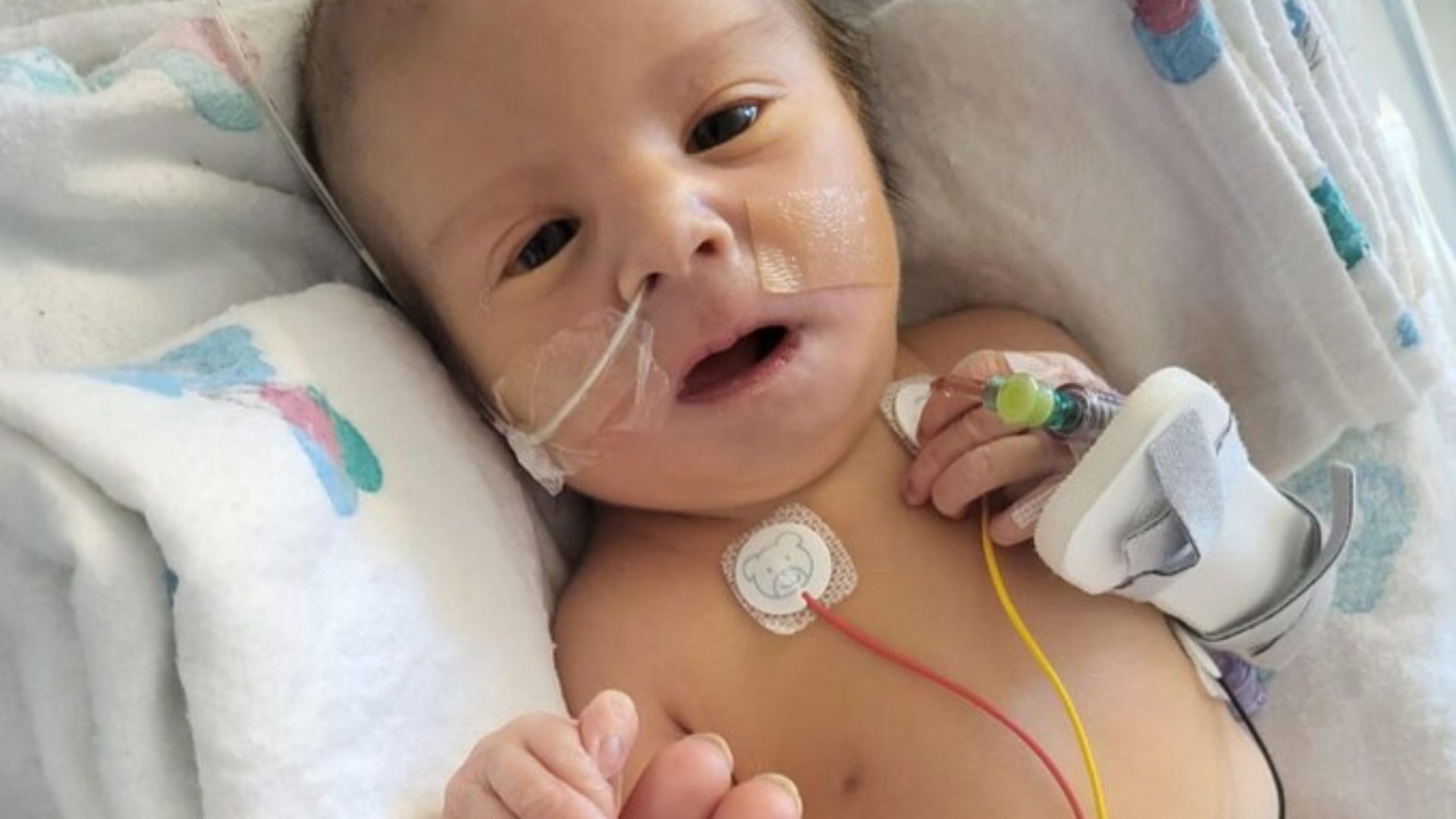 Faleceu Hoje Indi Gregory