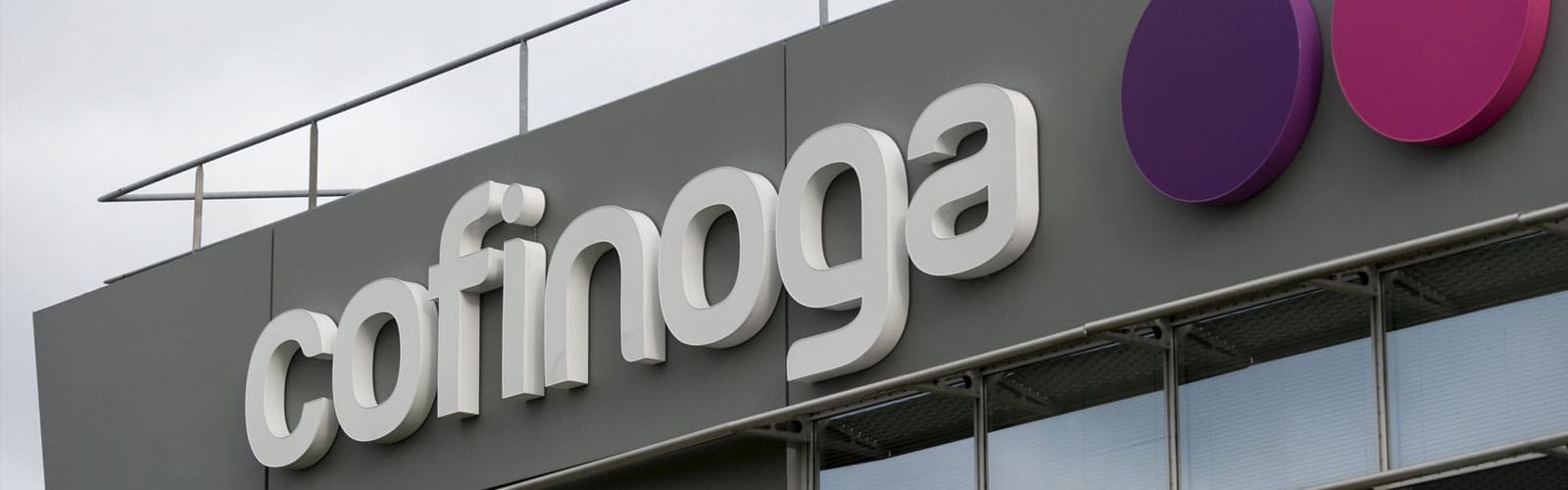 Cofinoga | Case Study