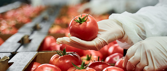 Industry Spotlight: Food & Beverage Financing - Prudential Private Capital