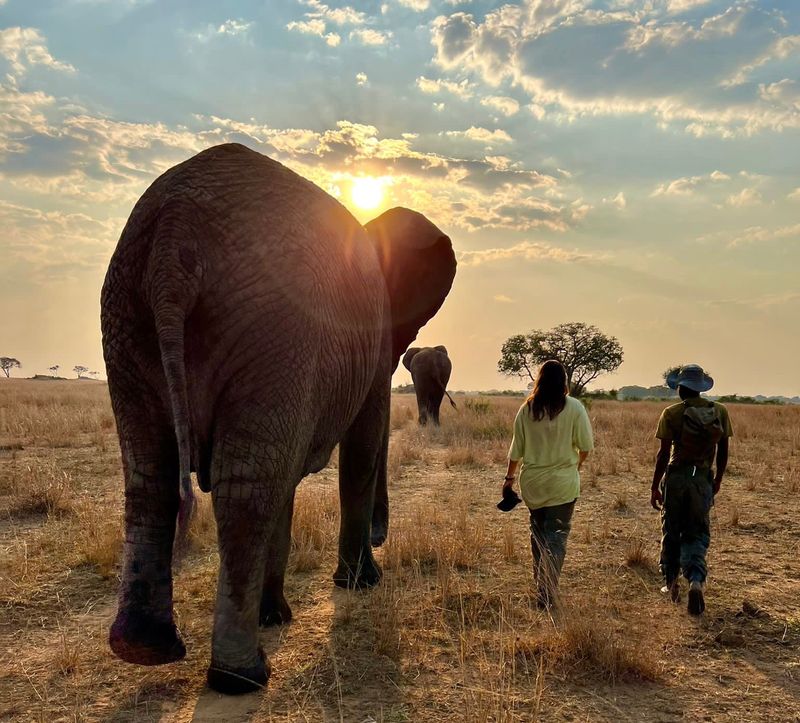 Volunteering with wild animals and horse riding in Zimbabwe, Africa ...