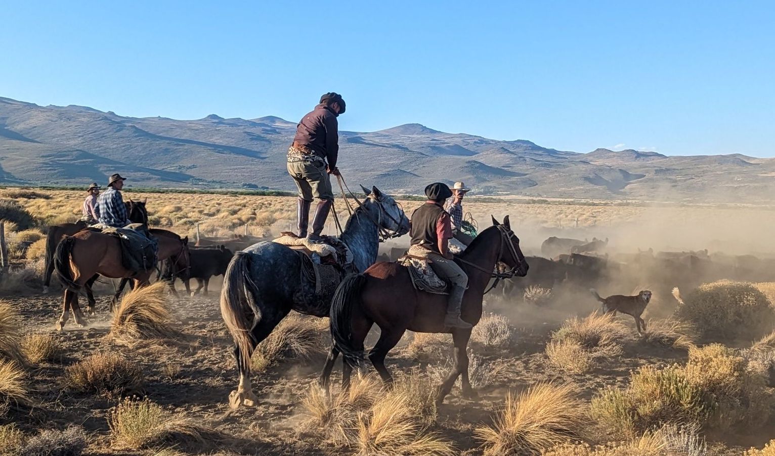 Highlights of our first horse riding holidays in Argentina of the year ...