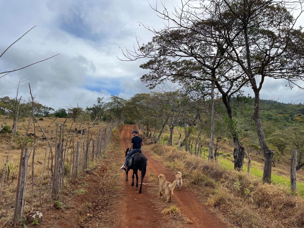 Horse riding in Panama | Hooves Around the World