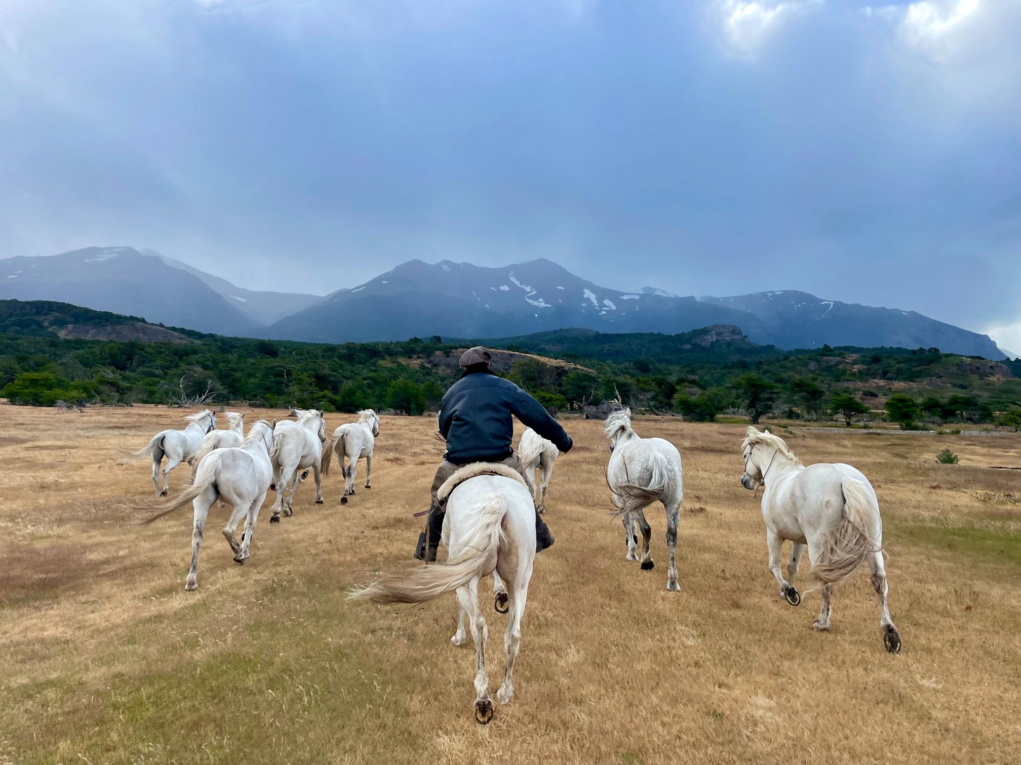 Volunteering with horses in Patagonia, Chile with Estancias Patagonia ...