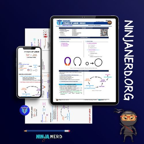 Stages of Labor - Notes - NinjaNerd Medicine