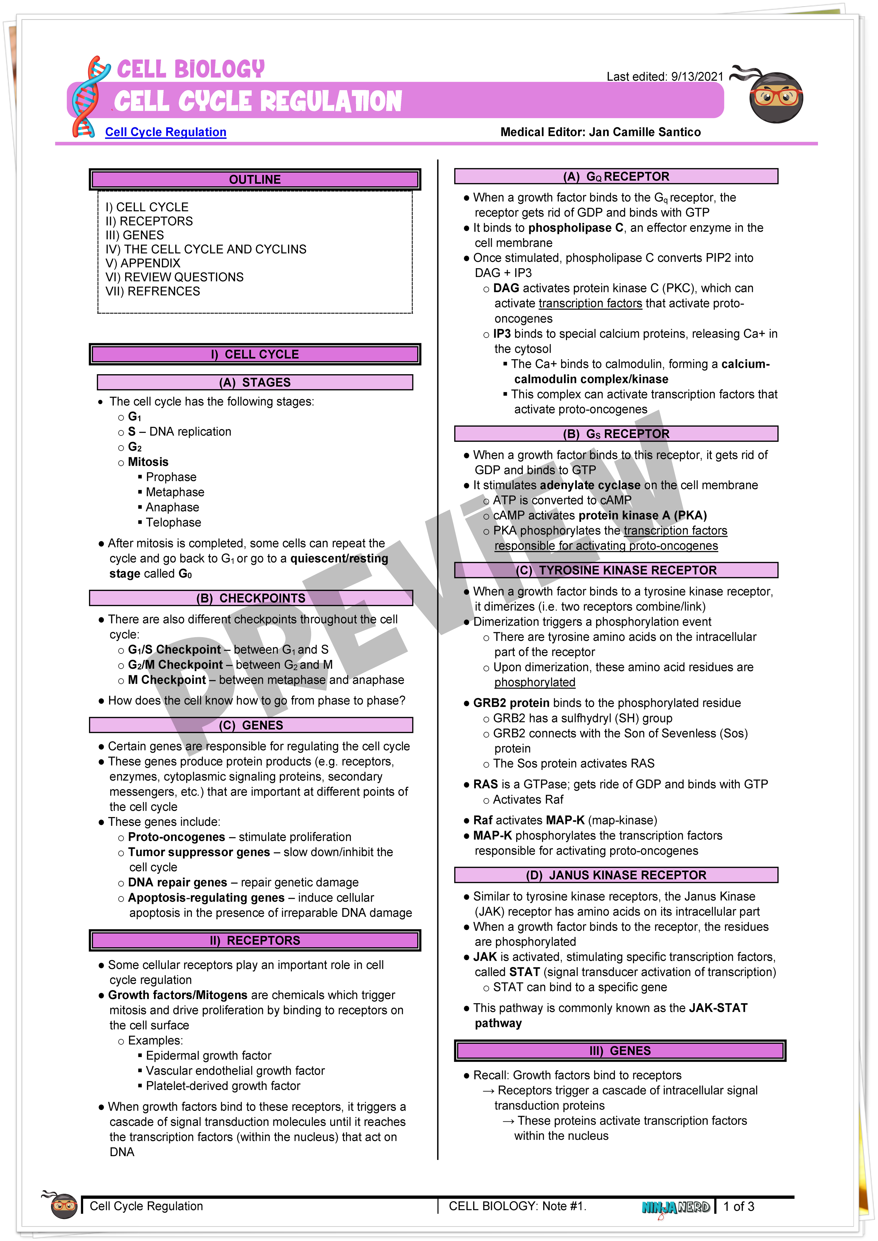 Cell Cycle Regulation - Notes - NinjaNerd Medicine