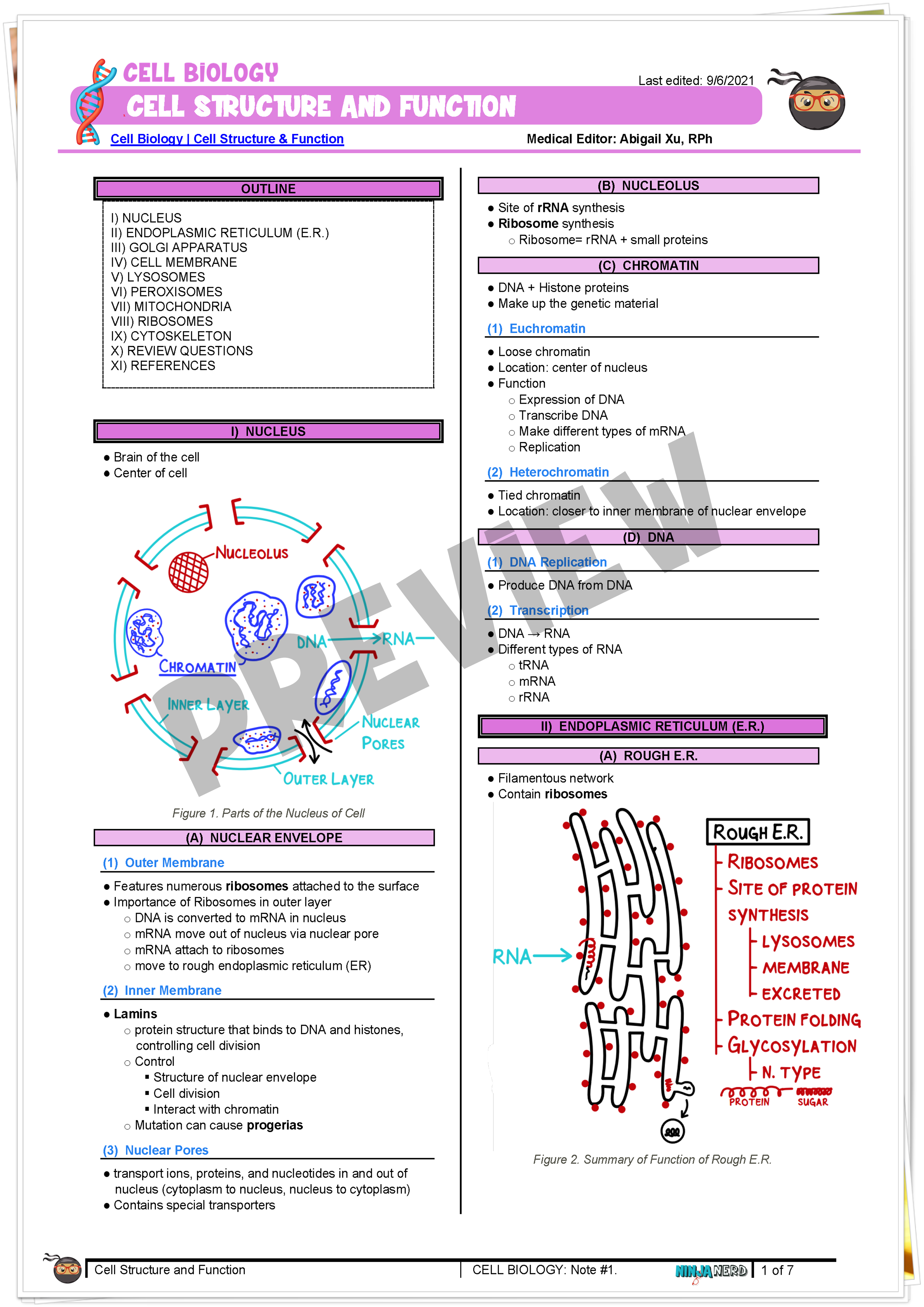 Cell Structure & Function - Notes - NinjaNerd Medicine